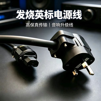 AudioXSOCC发烧英标电源线