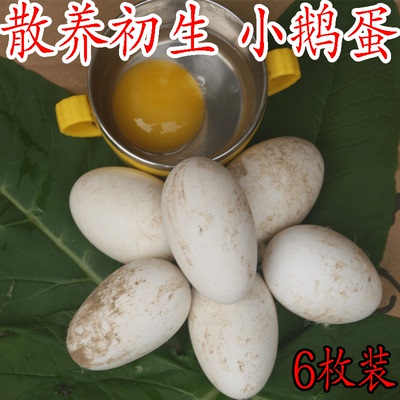 鹅蛋新鲜6枚孕妇农家喂养生壳硬