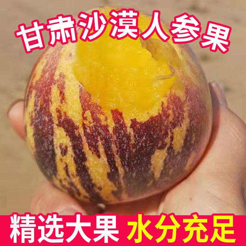 甘肃沙漠人参果大果民勤黄肉清甜多汁长果新鲜现摘夏季解渴水果