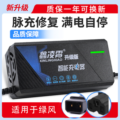 适用于两孔20AH48V60V12AH72V