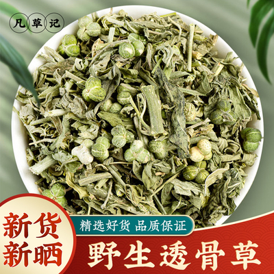 野生新货珍珠透骨草500克中药材