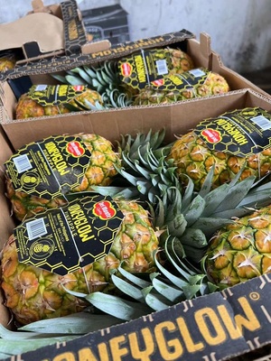 DelMonte菲律宾蜂蜜凤梨当季水果