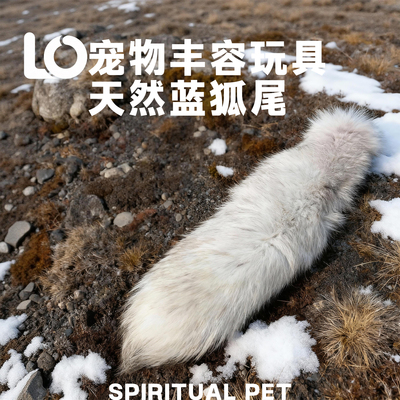 天然蓝狐真尾巴丰容玩具狐狸形逗猫棒宠物