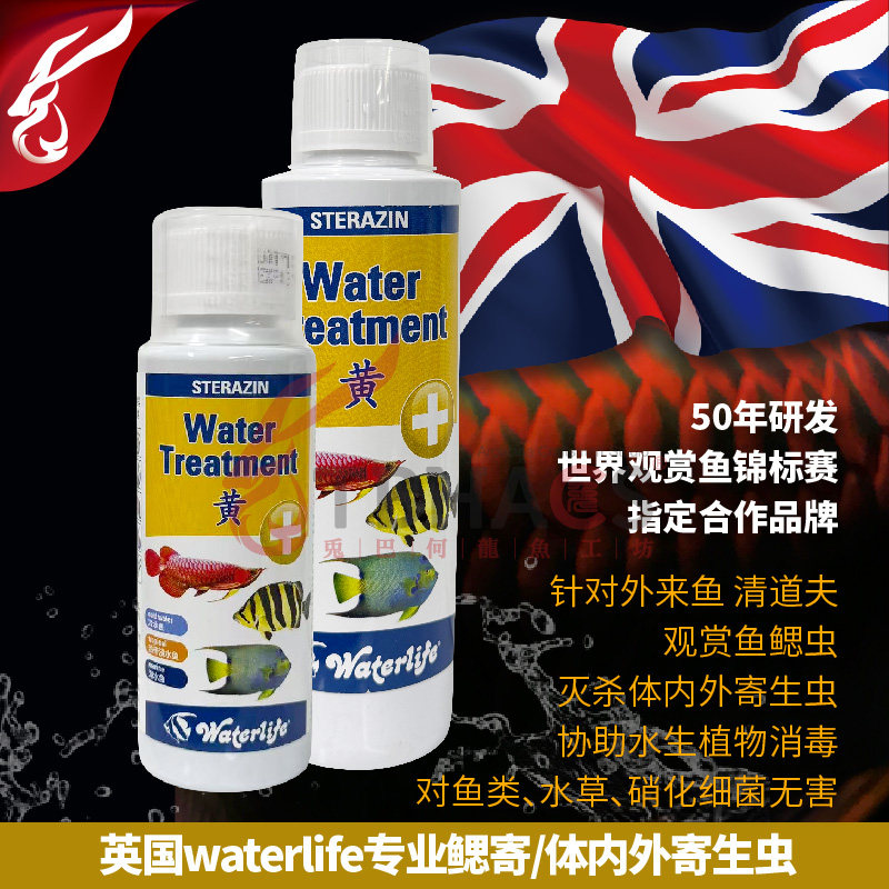 英国Waterlife龙鱼鳃寄菌腮原生吉罗鱼腮病体内外寄生虫淡海水用