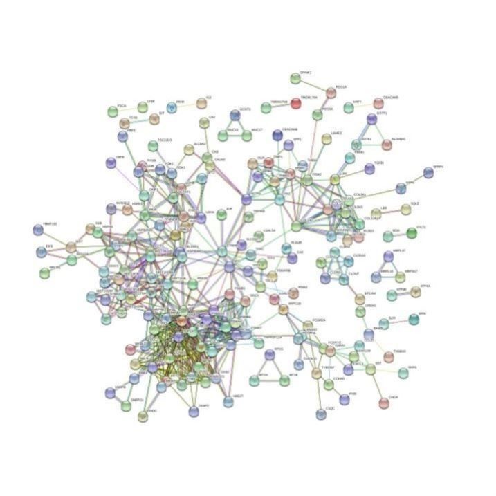 GEO数据库 生物信息学 多芯片联合分析 GEO2R 蛋白互作网络_虎窝淘
