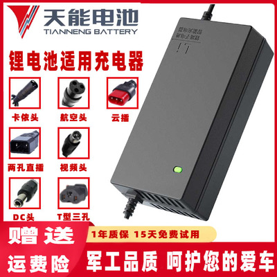 电动车锂电池充电器天能智能