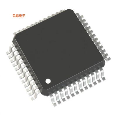 S9S12G128F0VLFR -原装[IC MCU 16BIT 128KB FLASH 48LQFP未验证