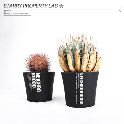 148潮流块根植物龙舌兰龟甲龙块根SRL陶瓷手工花盆NEIGHBORHOOD