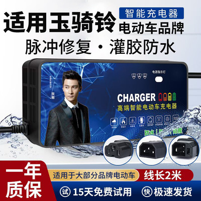 适用玉骑玲电动车电瓶车防水电池充电器48V12AH60V20AH72V32Ah