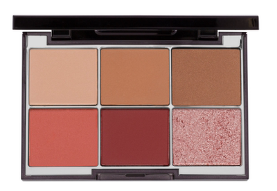 WAYNEGOSS哑光珠光6色奢华眼影