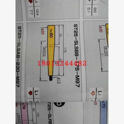ST25-SLSB8-17M97日本恩
