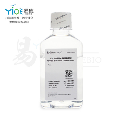 10×RealBlot快速转膜液BL609A