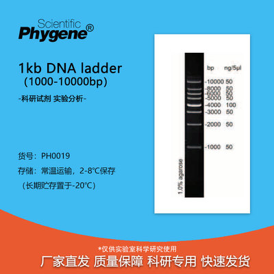 核酸电泳DNALadder1000-10000
