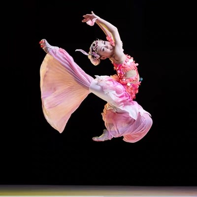 优选鱼儿欢歌舞蹈服新款小荷风采唧唧鱼H儿跃儿童傣族古典肚皮舞