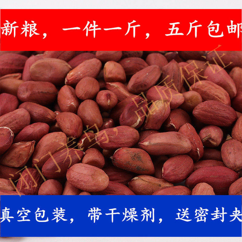 红皮花生/小花生/鹦鹉零食/仓鼠零食/补血/养胃/红衣/新货500G
