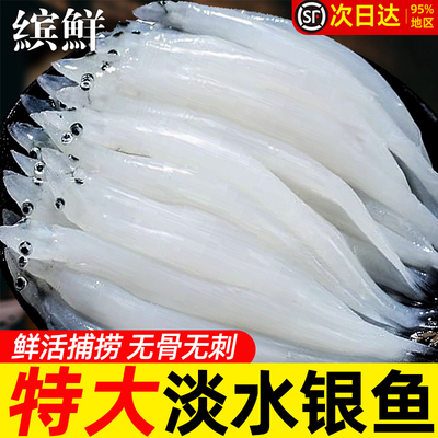 新鲜淡水银鱼无骨无刺顺丰包邮！