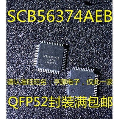 SCB56374AEB1L60W雷诺