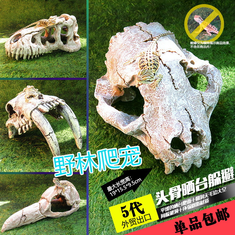 彷真恐龙头骨宠物蜥蜴爬虫屋造景爬宠饲养箱守宫蛇躲避窝鬃狮晒台