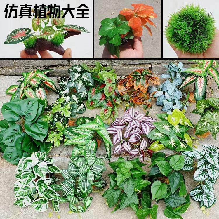 爬宠饲养箱彷真植物造景蜥蜴雨林缸高彷植物生态缸装饰水陆缸景观
