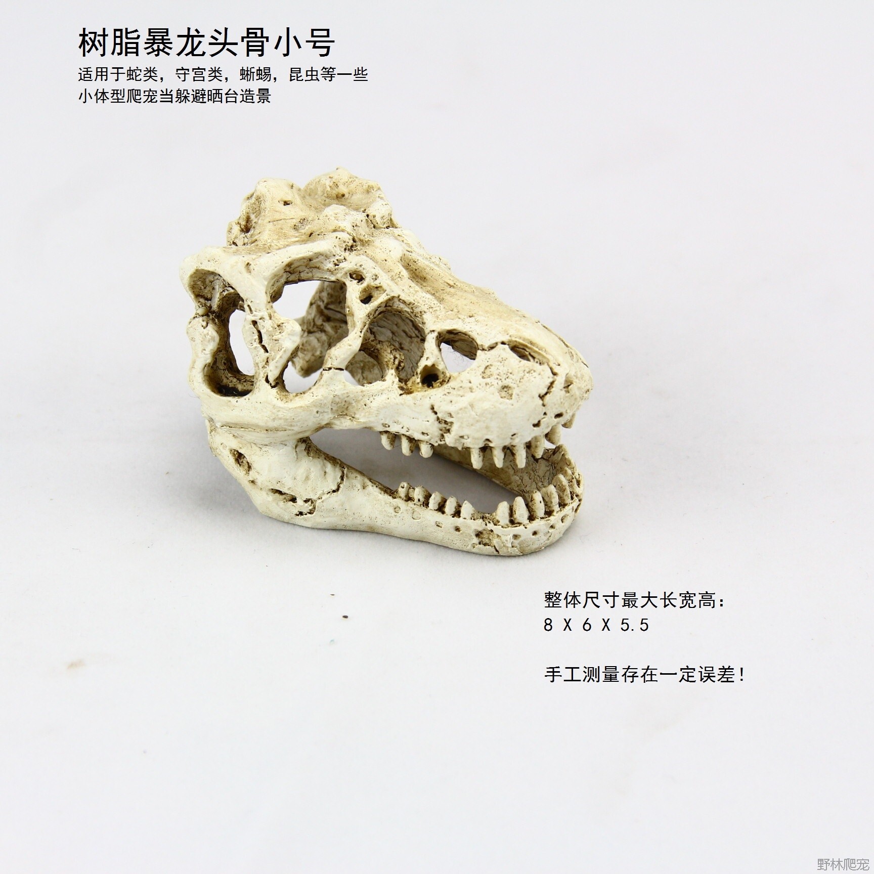 小号树脂爬虫躲避蜘蛛饲养爬宠盒恐龙暴龙头骨骷髅鱼缸宠物缸造景