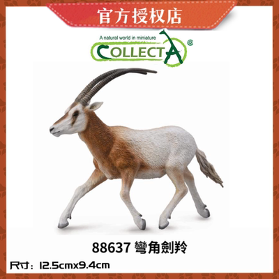 英国CollectA我你他野生动物模型玩具88637 弯角剑羚