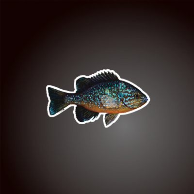 梭鲈鱼模切贴纸钓箱贴纸汽车车身车贴路亚反光贴纸8322