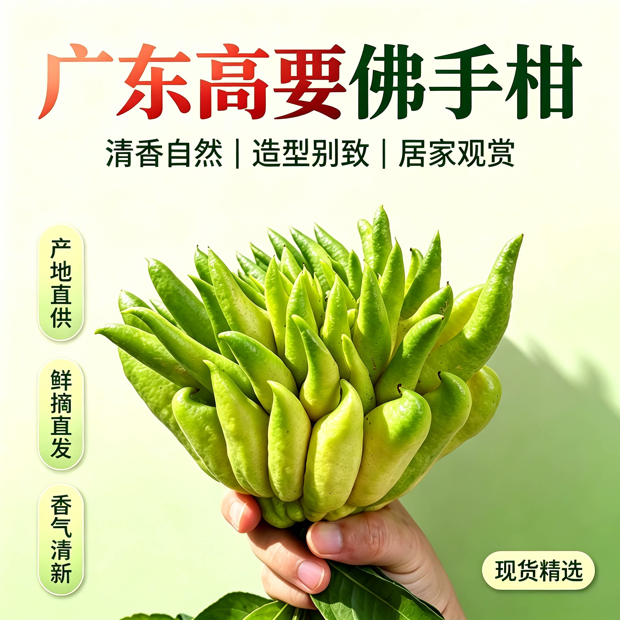 带枝佛手柑广佛手果观赏水培把玩插花新鲜摆件香橼果办公室绿植