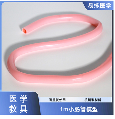 腹腔镜训练小肠管肠肠吻合缝合模型医学教学教具带肠系膜