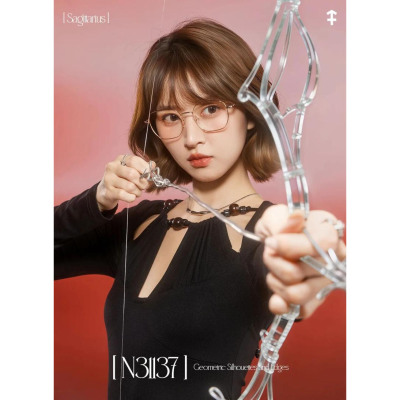海俪恩眼镜架  HORIEN/星座系列射手座男女款时尚复古镜框 N31137