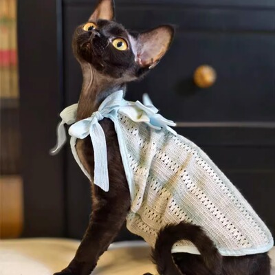 Pico 海盐芝士德文猫衣服无毛猫斯芬克斯全棉蕾丝镂空系带针织衫