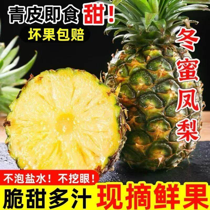 海南冬蜜凤梨青皮即食树上熟新鲜菠萝脆甜多汁现摘坏果包赔不挖眼