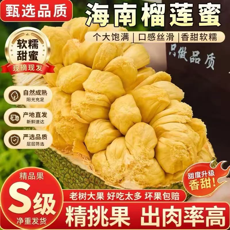海南榴莲蜜新鲜榴莲蜜软糯大果现摘现发树上熟精品果非菠萝蜜