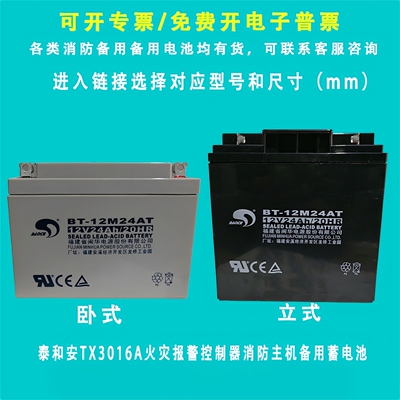 泰和安TX3016A消防主机用蓄电池