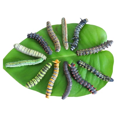 仿真毛毛虫青菜豆虫恶搞整蛊