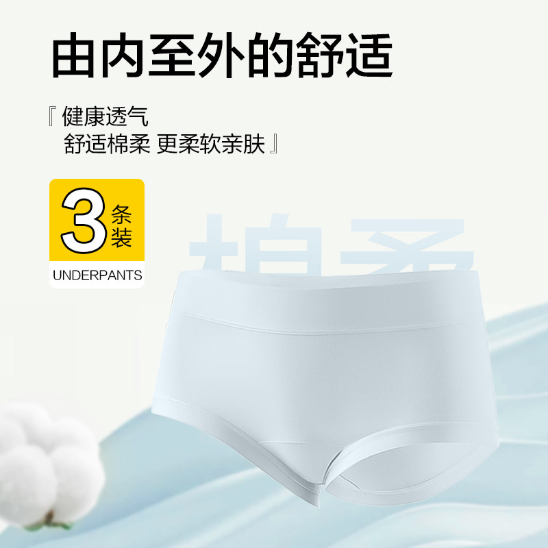 BWELL60支长绒棉棉无痕加长底档女士内裤三条装BWK7191Z