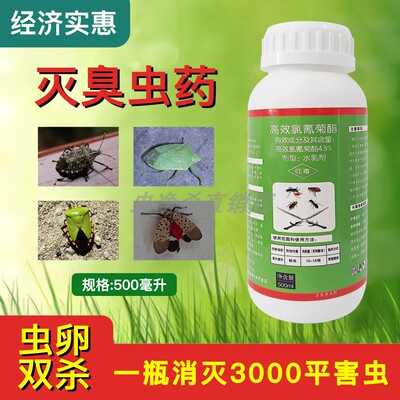 灭臭虫放屁虫臭大姐杀椿象专用药