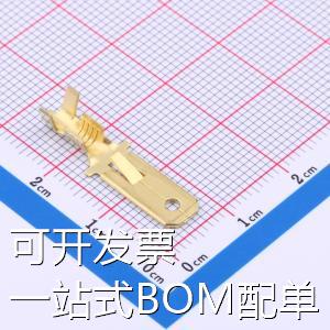 170030-1 冷压端子 170030-1 存储器 现货