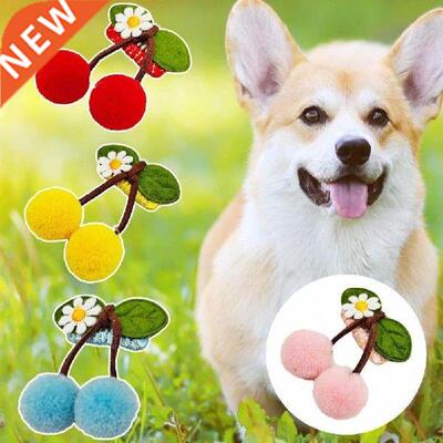 Long-lasting Beautiful Floral Pet Hair Clips Titanium