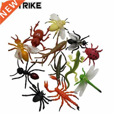 12Pcs Classic Biology Science Educational Learning Toy Part