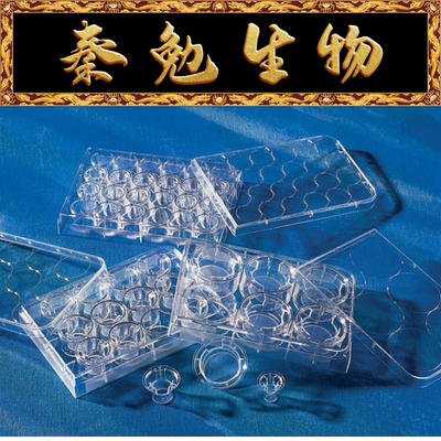 CorningTranswell嵌套3470