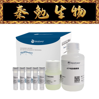 ATP检测试剂盒（1nM）Biosharp