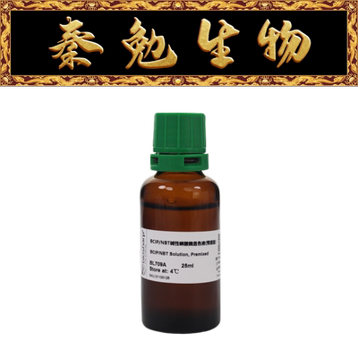 Biosharp碱性磷酸酶显色液BL709A