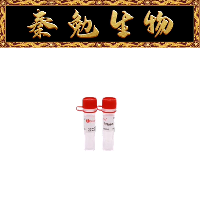 索莱宝RNaseA溶液R1030