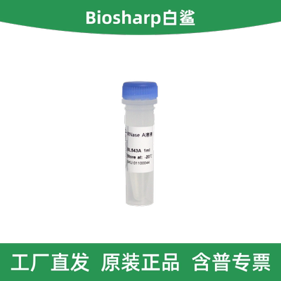 Biosharp白鲨RNaseA溶液BL543A