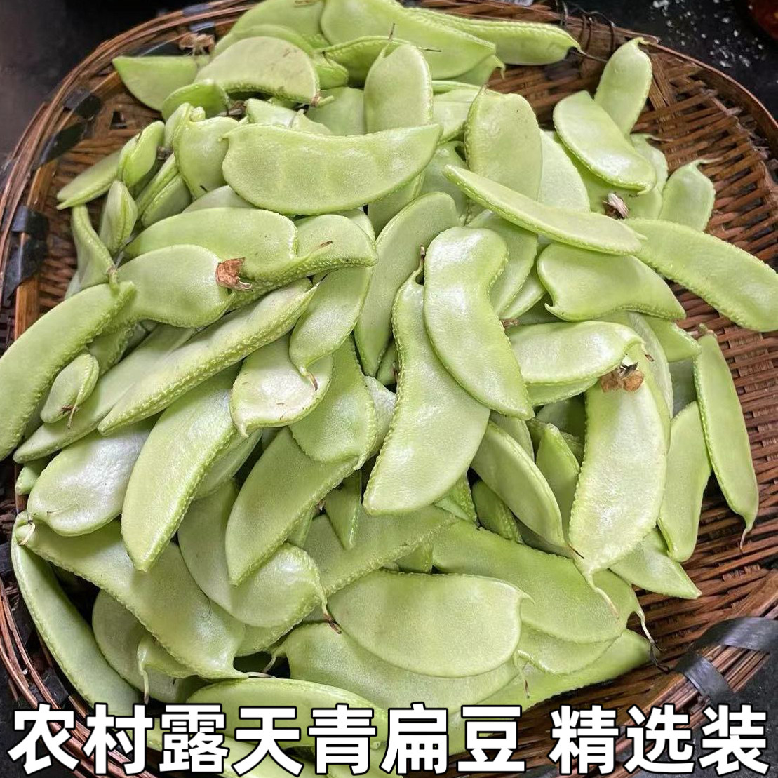 扁豆角新鲜蔬菜农家自种月儿菜扁豆眉豆白扁豆青豆角扁豆荚嫩包邮