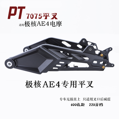 PTENG适用极核AE4后平叉