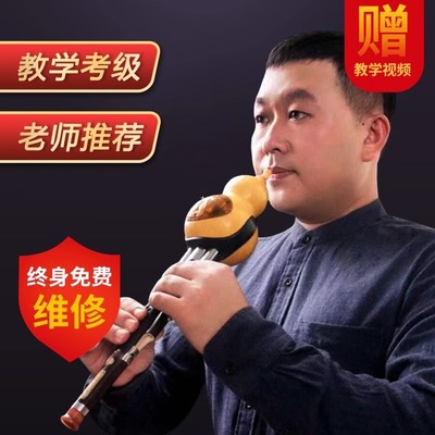 葫芦丝乐器初学者C调降B调F调防摔儿童小学生专用七孔紫竹演奏型