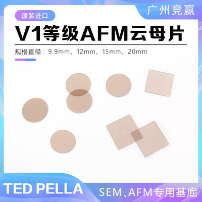 tedpella实验耗材V1级圆形云母片9.9mmAFM云母基底原子力显微镜