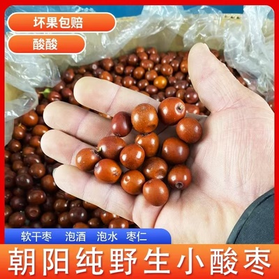 野生山枣东北山沟沟孕妇新鲜采摘