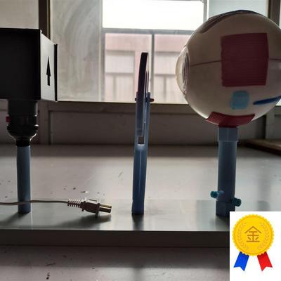 向阳花眼球仪晶状体曲率可变中学生物O实验器材厂家直销